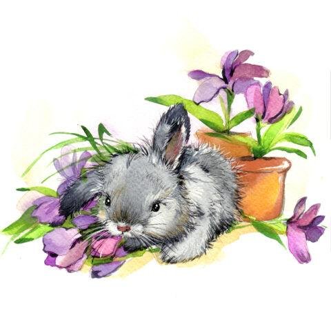 How to Rabbit Proof a Room - The Rabbit Hop