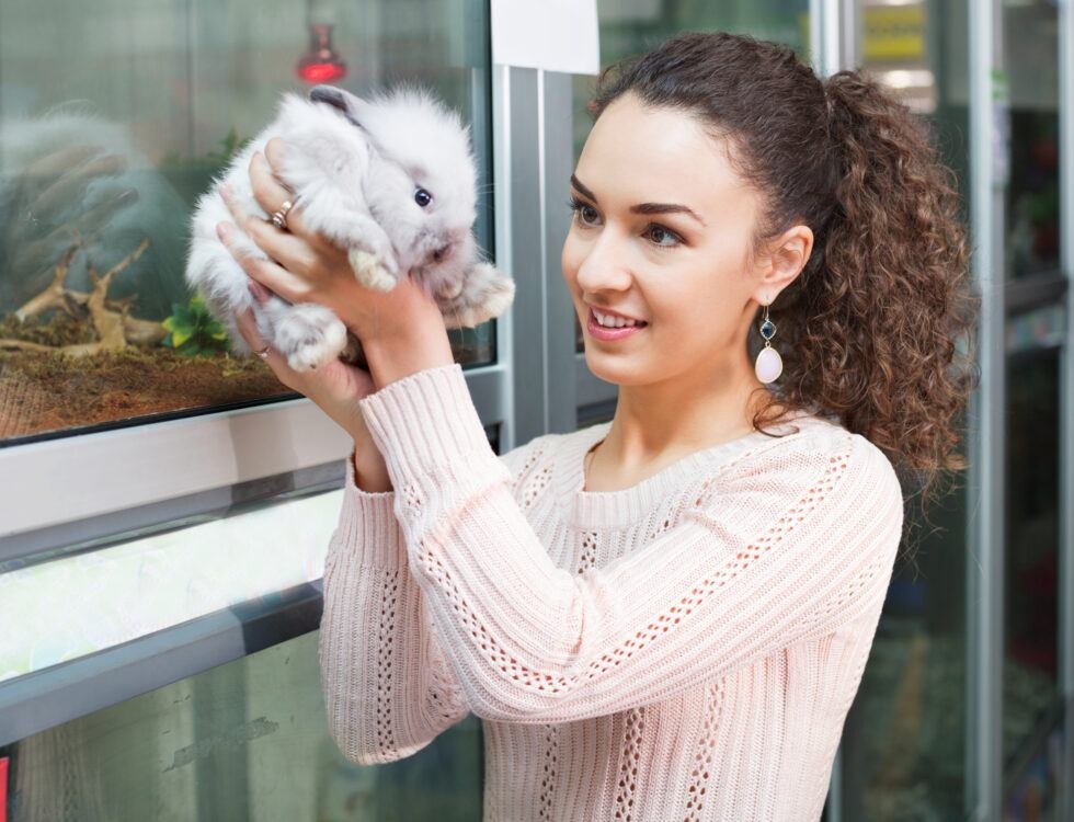 Right Type of Pet Rabbit: 8 Factors to Consider - The Rabbit Hop