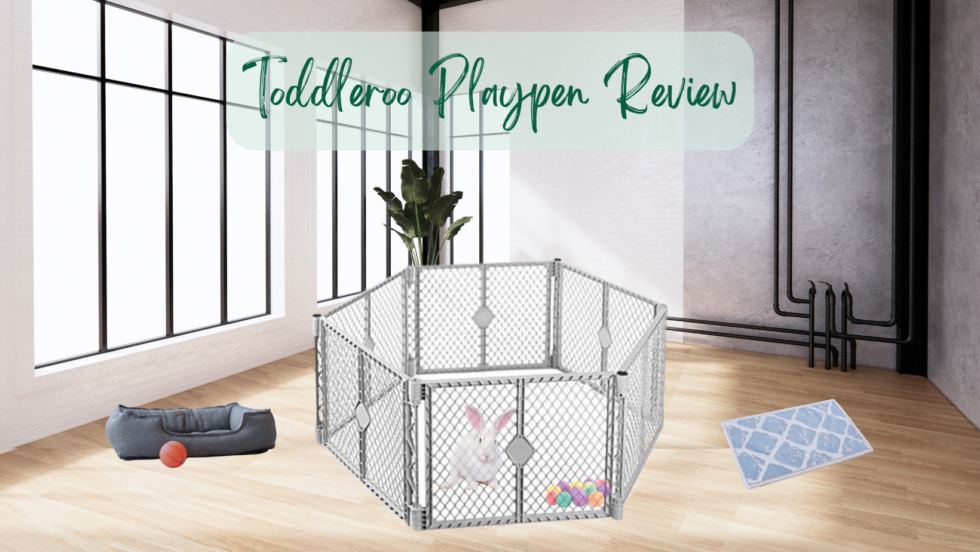 Toddleroo Playpen Review - The Rabbit Hop